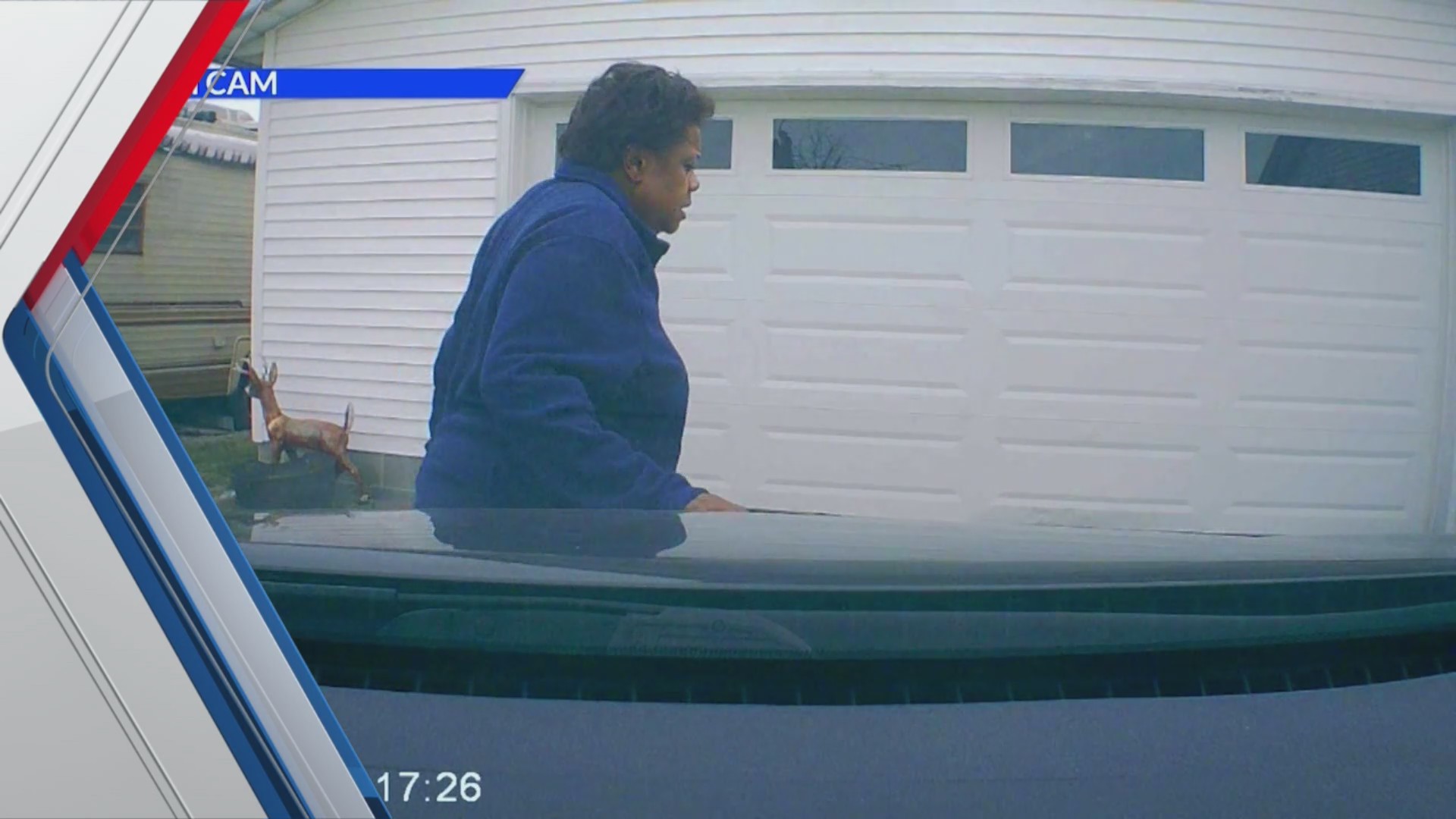 Cleveland’s Own: Berea ARF – Fox 8 Cleveland WJW