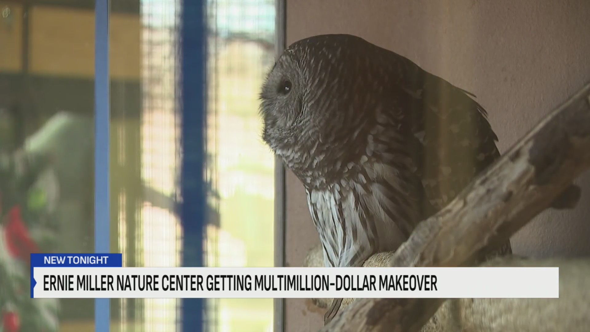 Nature center in Olathe receiving $3.7 million upgrade – FOX 4 Kansas ...