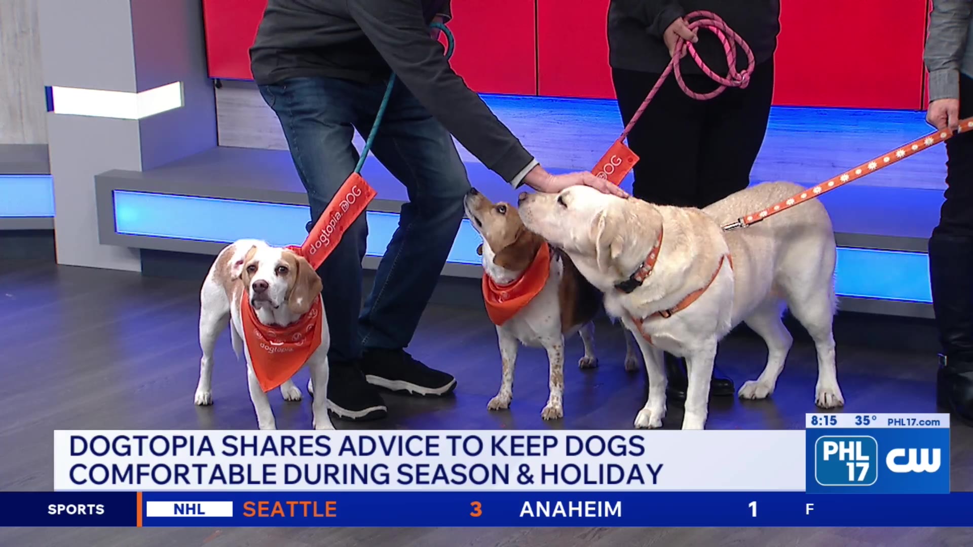 Keeping pets comfortable during the holiday hustle | PHL17 Morning News ...