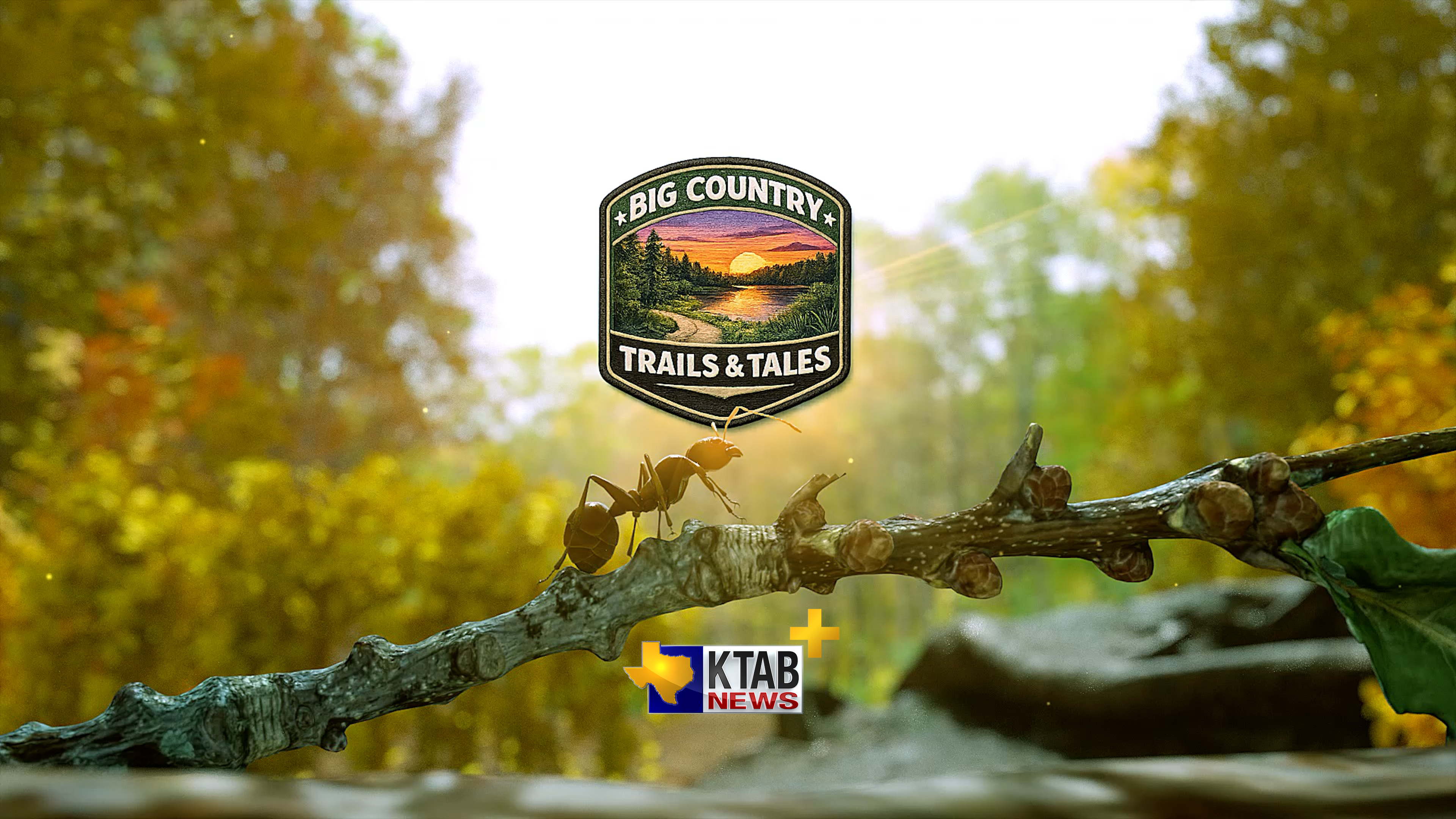 Big Country Trails & Tales: Old Cisco Zoo Hiking Trails – KTAB ...