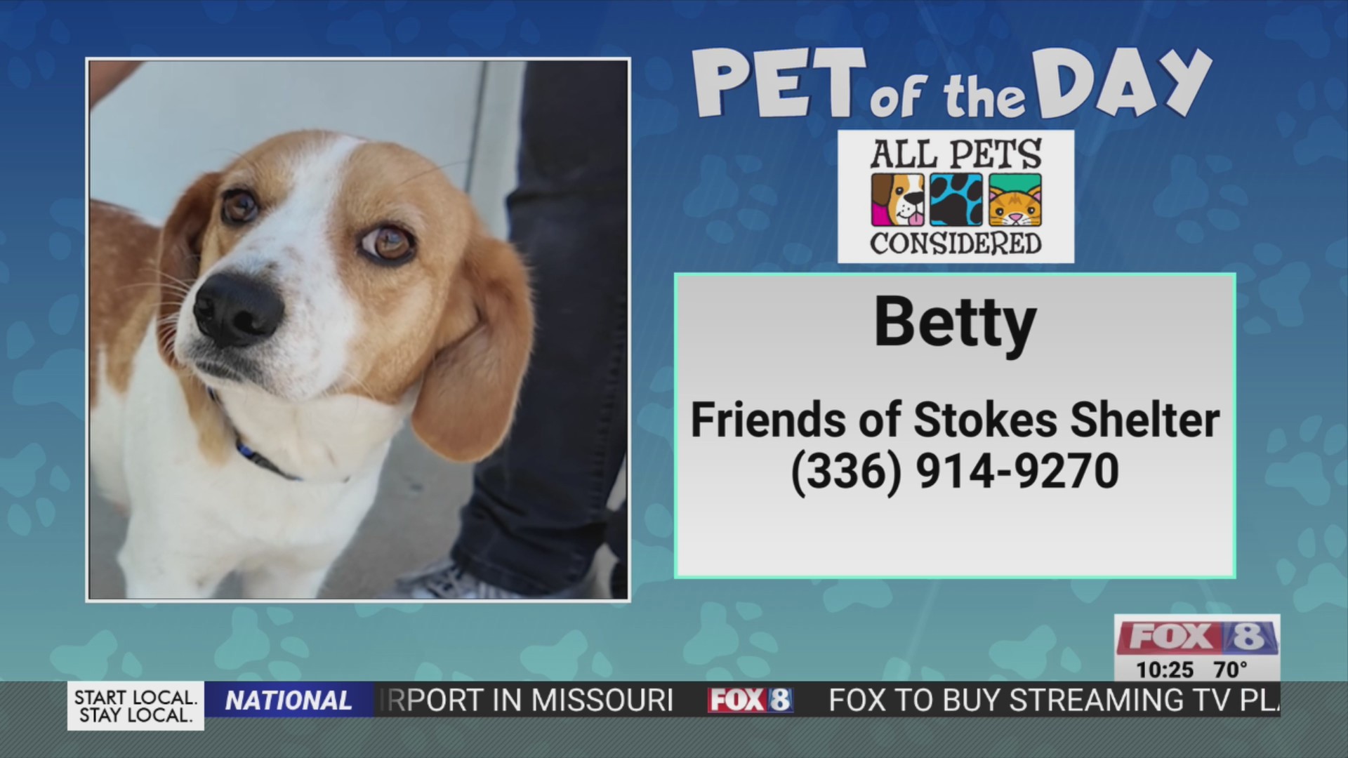 Betty is our Pet of the Day! – FOX8 WGHP