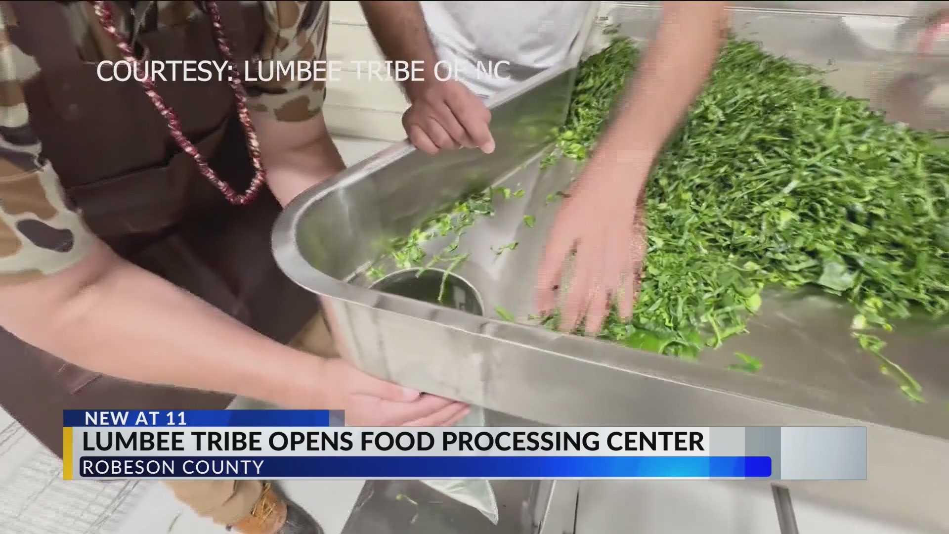 Lumbee Tribe opens new food processing center – WBTW