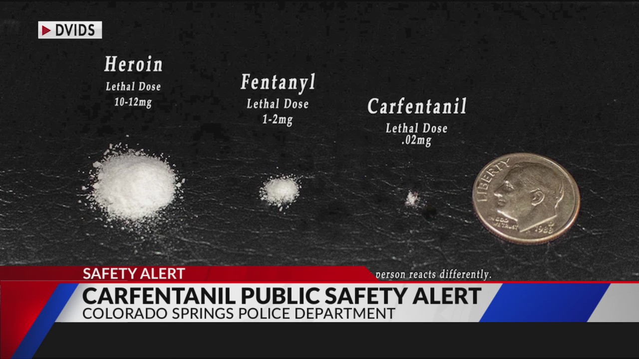 CSPD issues carfentanil public safety alert – FOX21 News Colorado