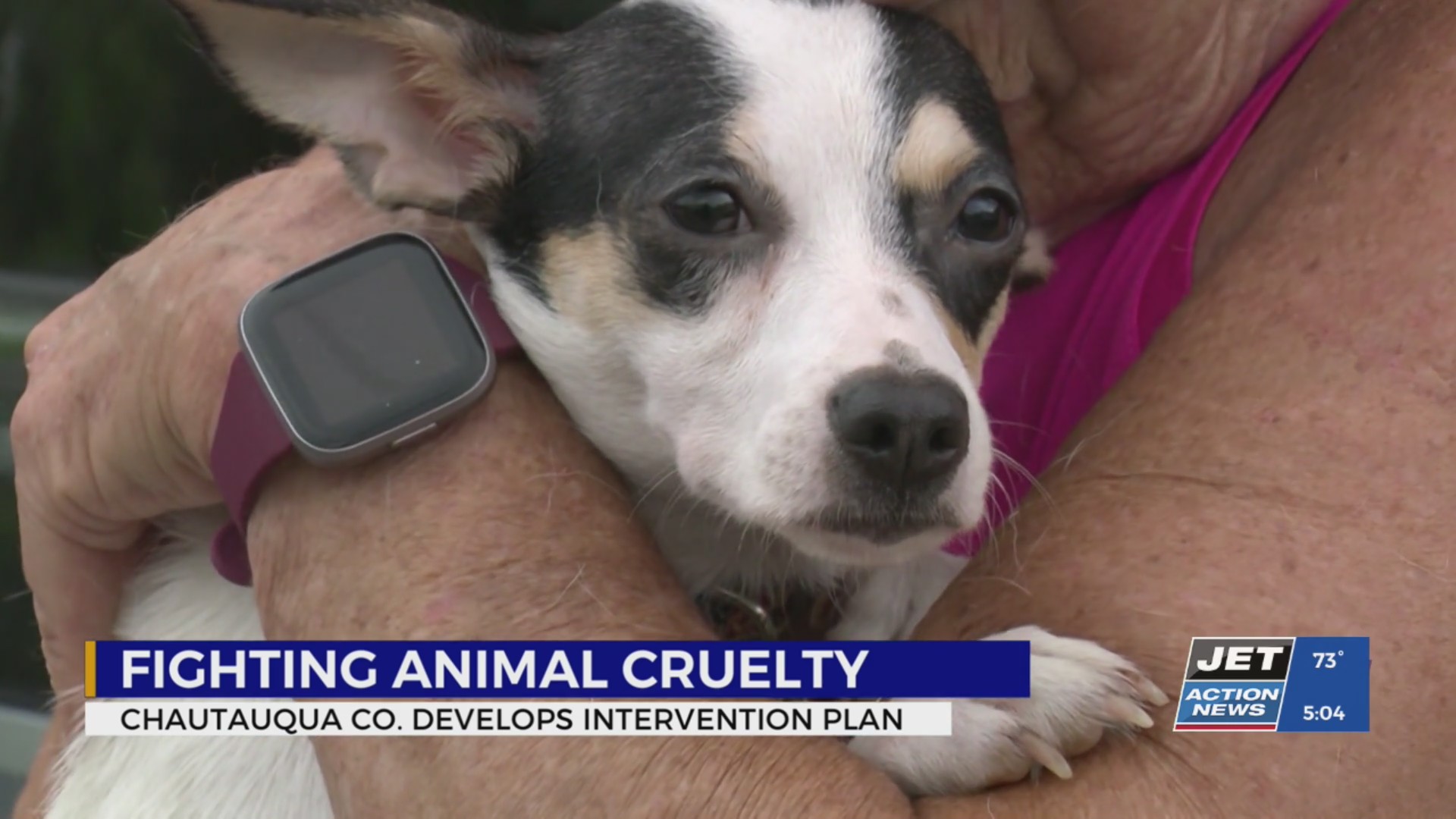 Chautauqua Co. Humane Society, sheriff’s office team up against animal ...