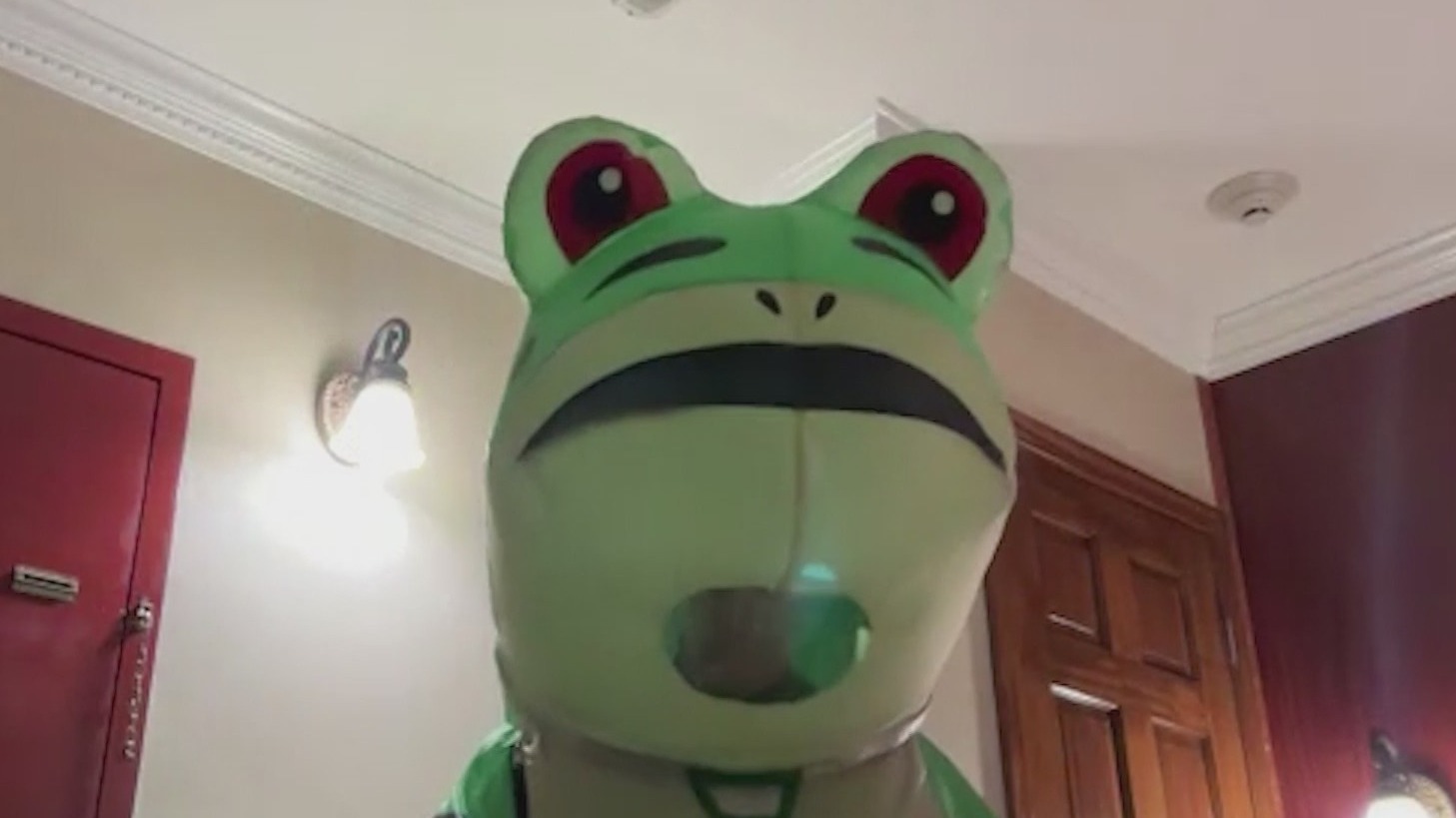 Protest frogs head to D.C. for ‘State of the Swamp Address’ ahead of ...