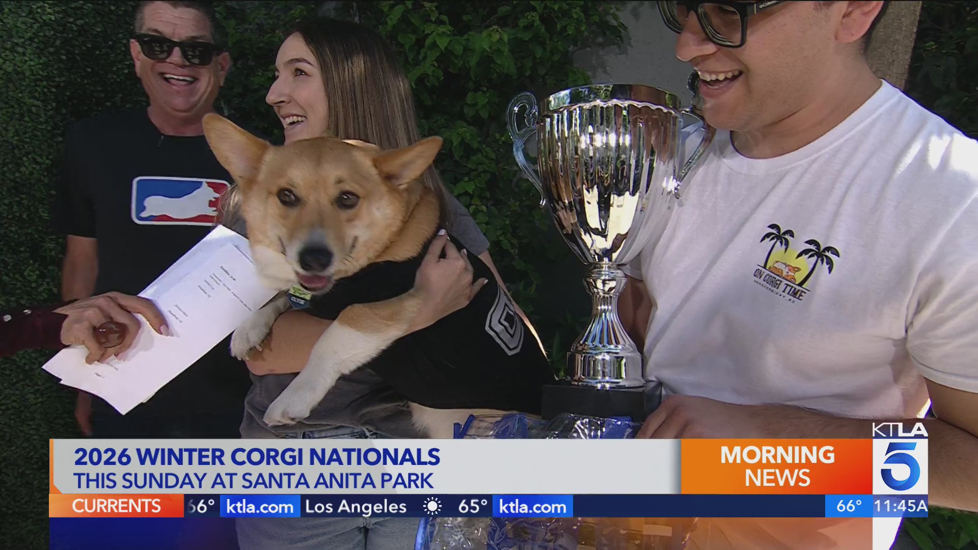 2026 Winter Corgi Nationals returns to Santa Anita Park – KTLA