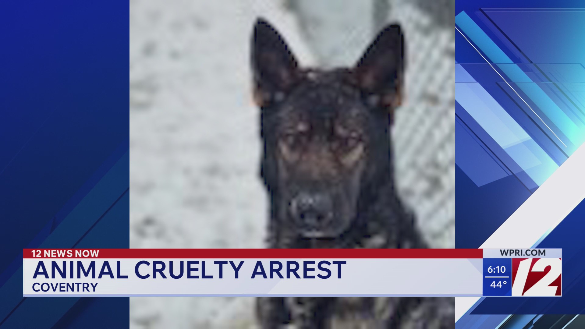 Coventry woman charged after emaciated dog found – WPRI.com
