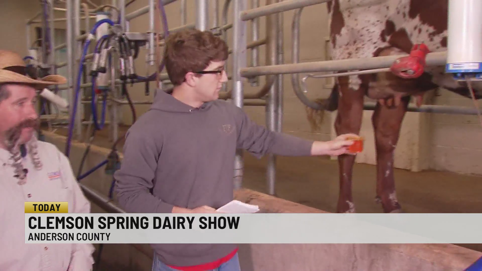 Clemson Spring Dairy show boasts one of largest in Southeast at T Ed ...
