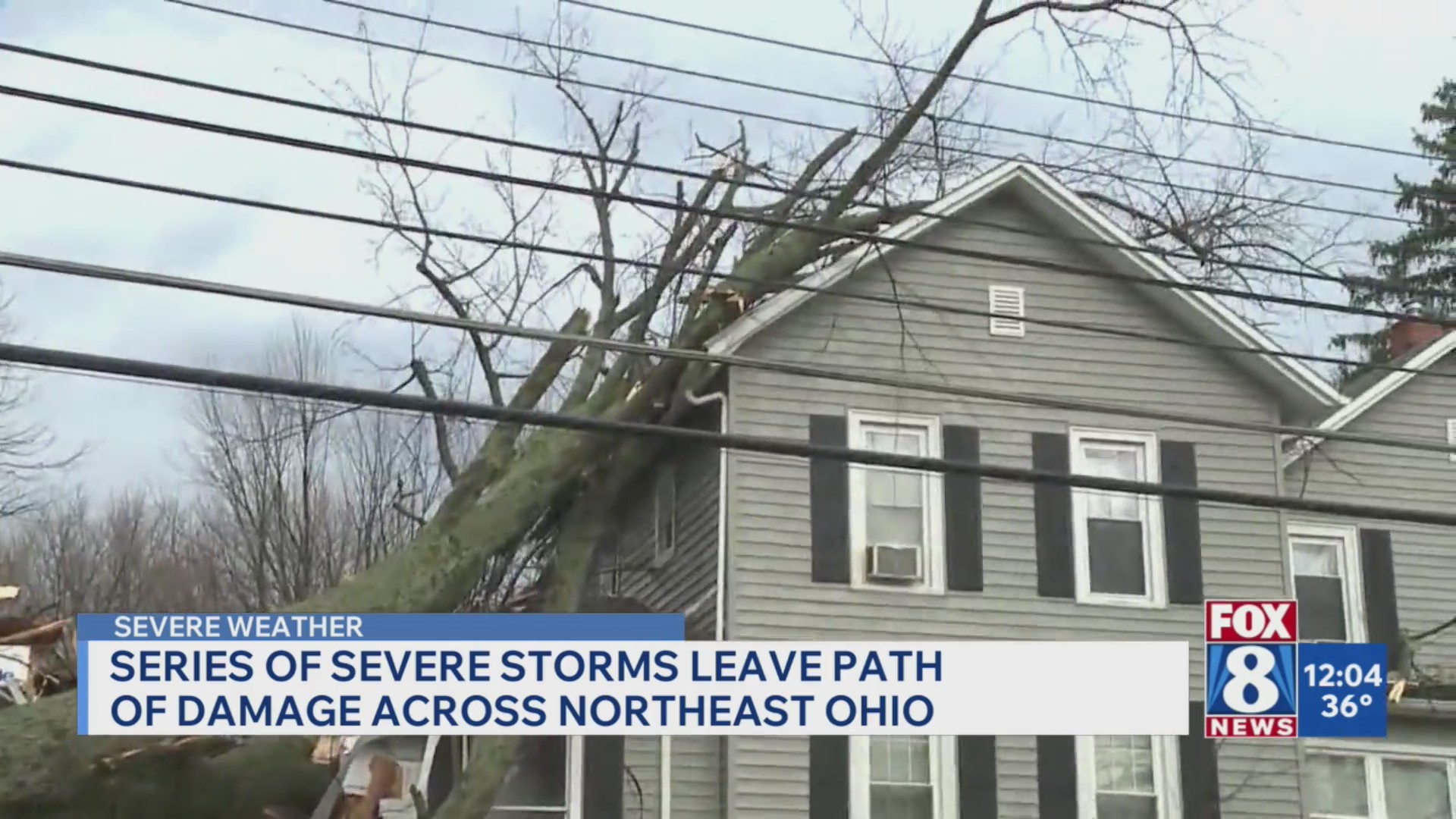 Series of severe storms leave path of damage across NE Ohio – Fox 8 ...