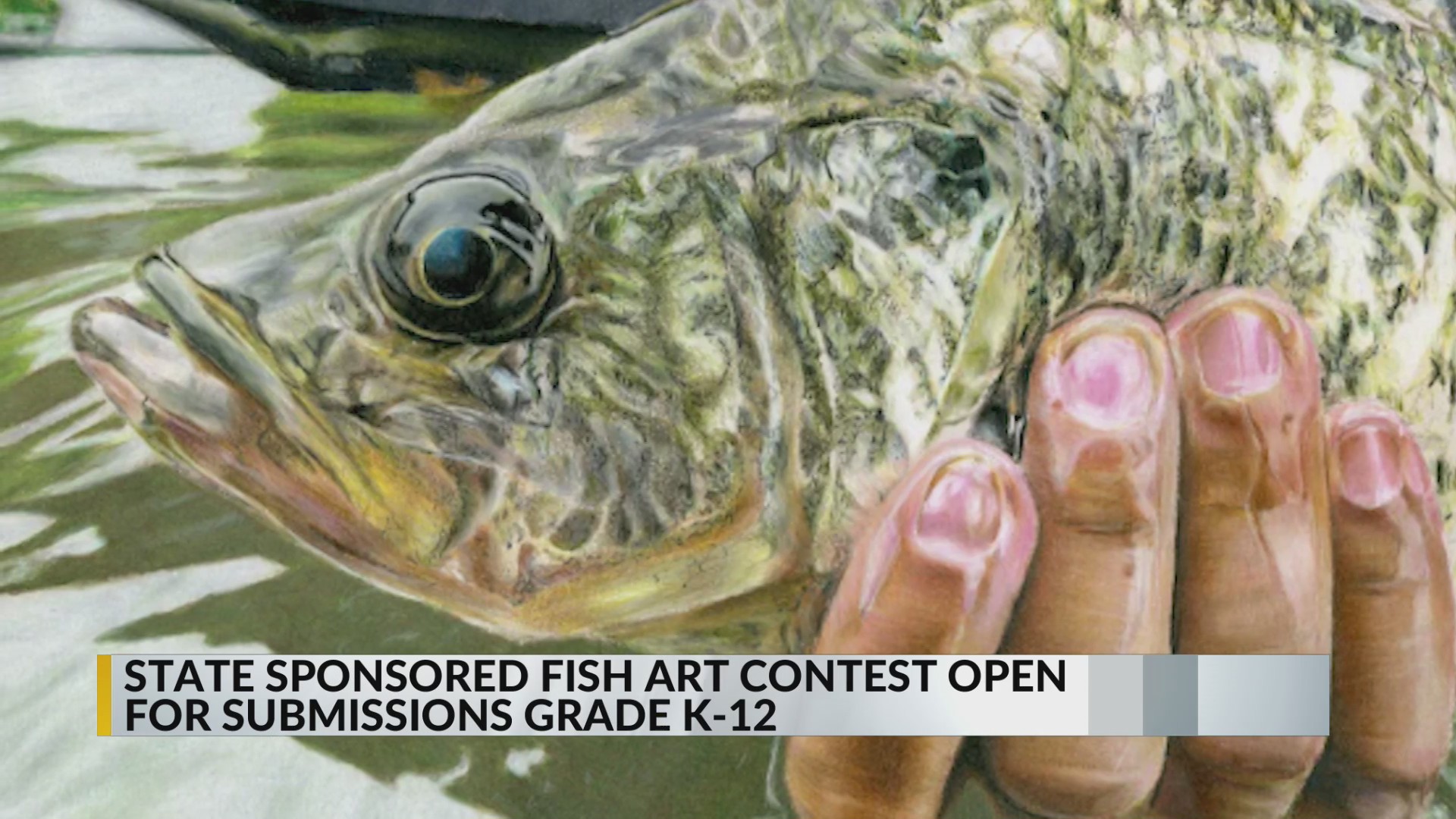 Department of Game and Fish sponsors Fish Art Competition – KRQE NEWS ...