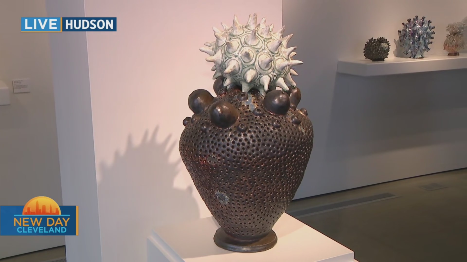 New Day Cleveland: Peg Gallery – Fox 8 Cleveland WJW