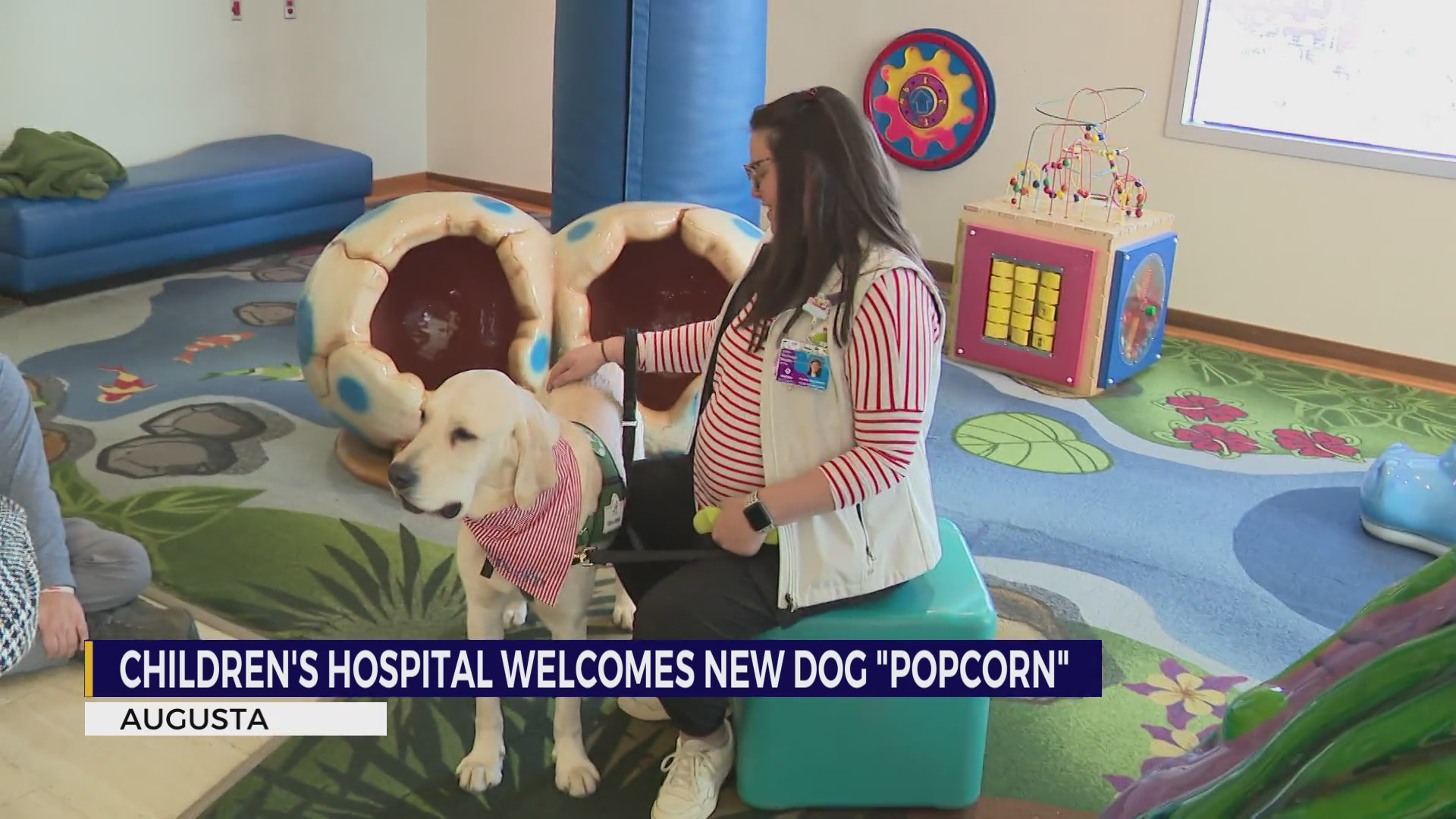 Local children’s hospital welcomes new facility dog named Popcorn – WJBF