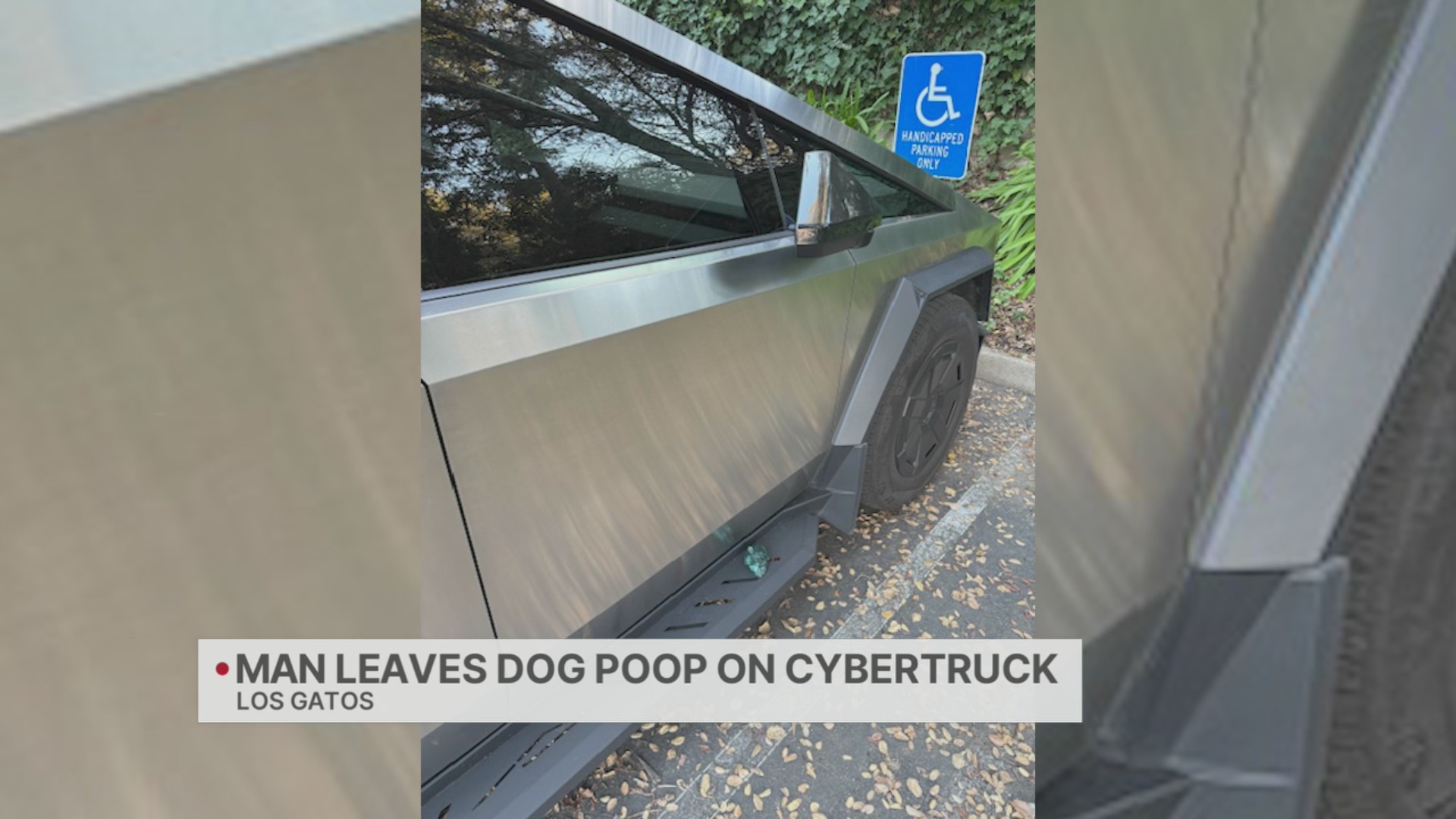 Man leaves dog poop on parked Cybertruck in South Bay – KGET 17 News