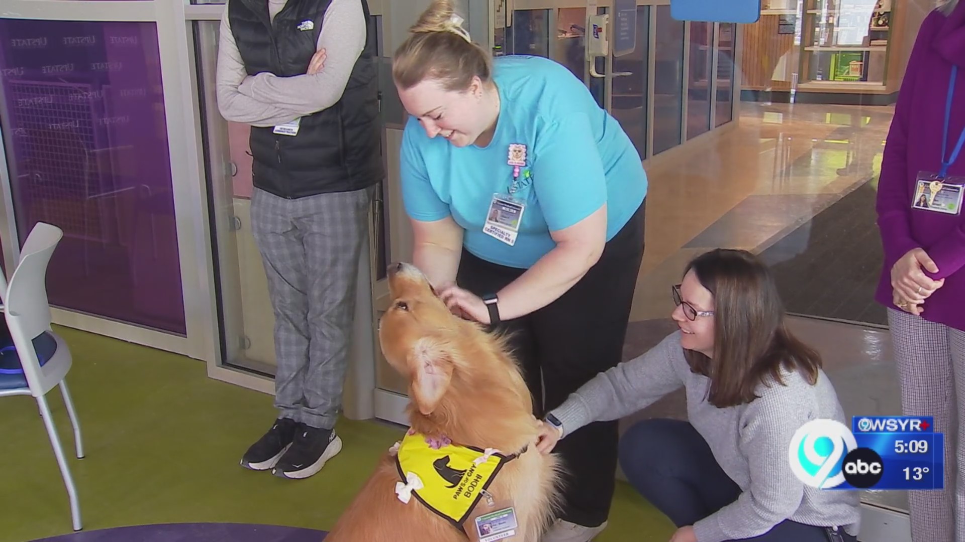 Therapy dog is ready for the big lights of the Westminster Dog Show – WSYR