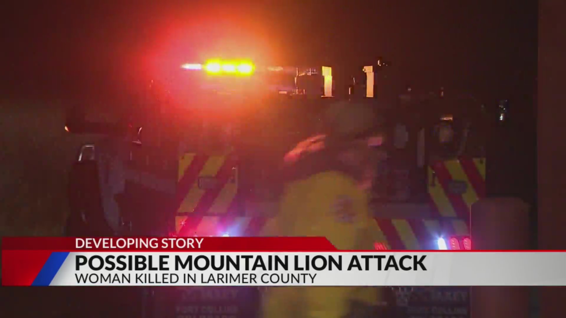 Woman dead after suspected mountain lion attack in Larimer County ...