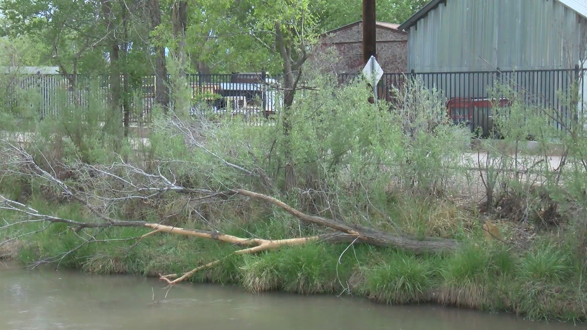 MRGCD plans work along Bosque Bike Trail to minimize wildfire risk and ...