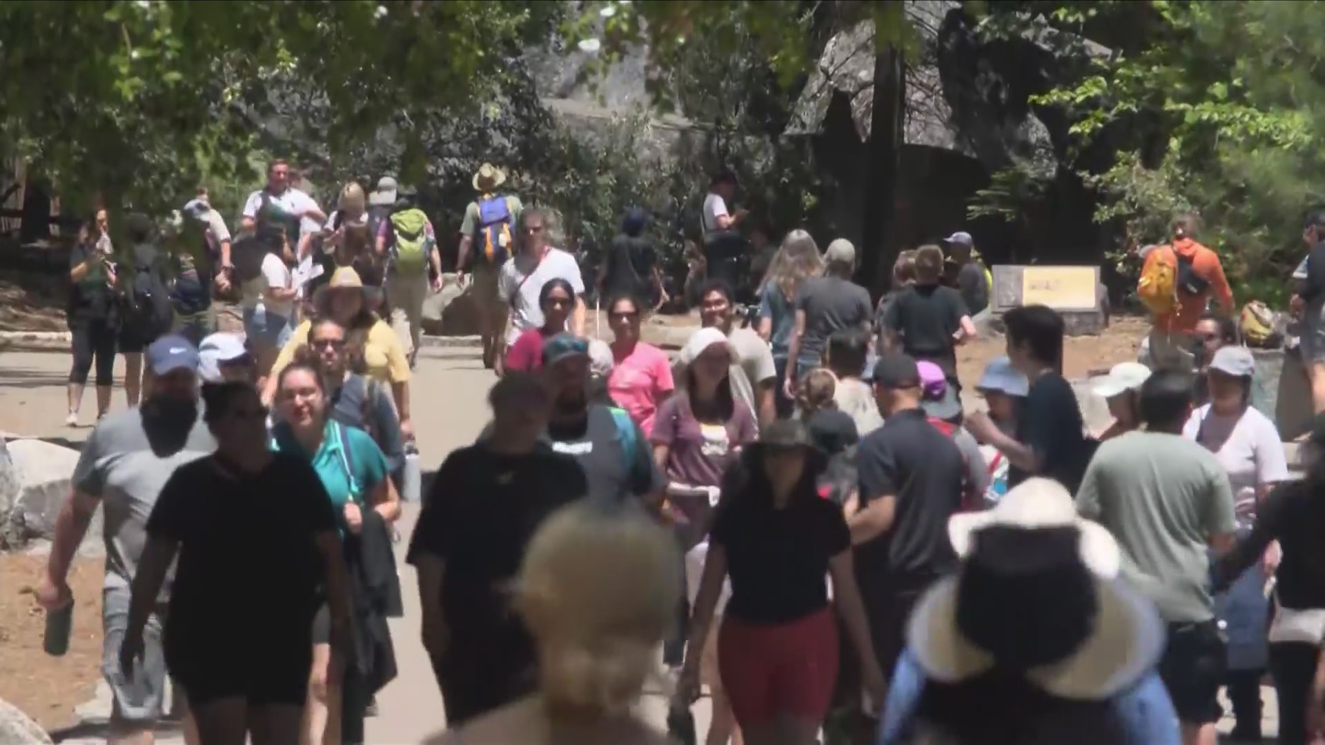 Yosemite visitors need American ID to avoid new foreigner fee: NPS ...