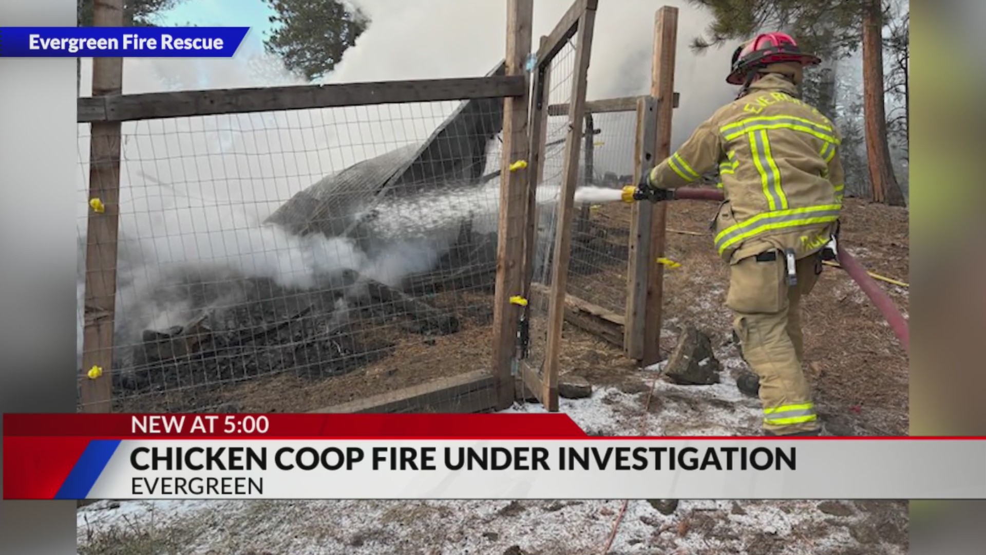 Evergreen Fire Rescue puts out chicken coop fire – FOX31 Denver
