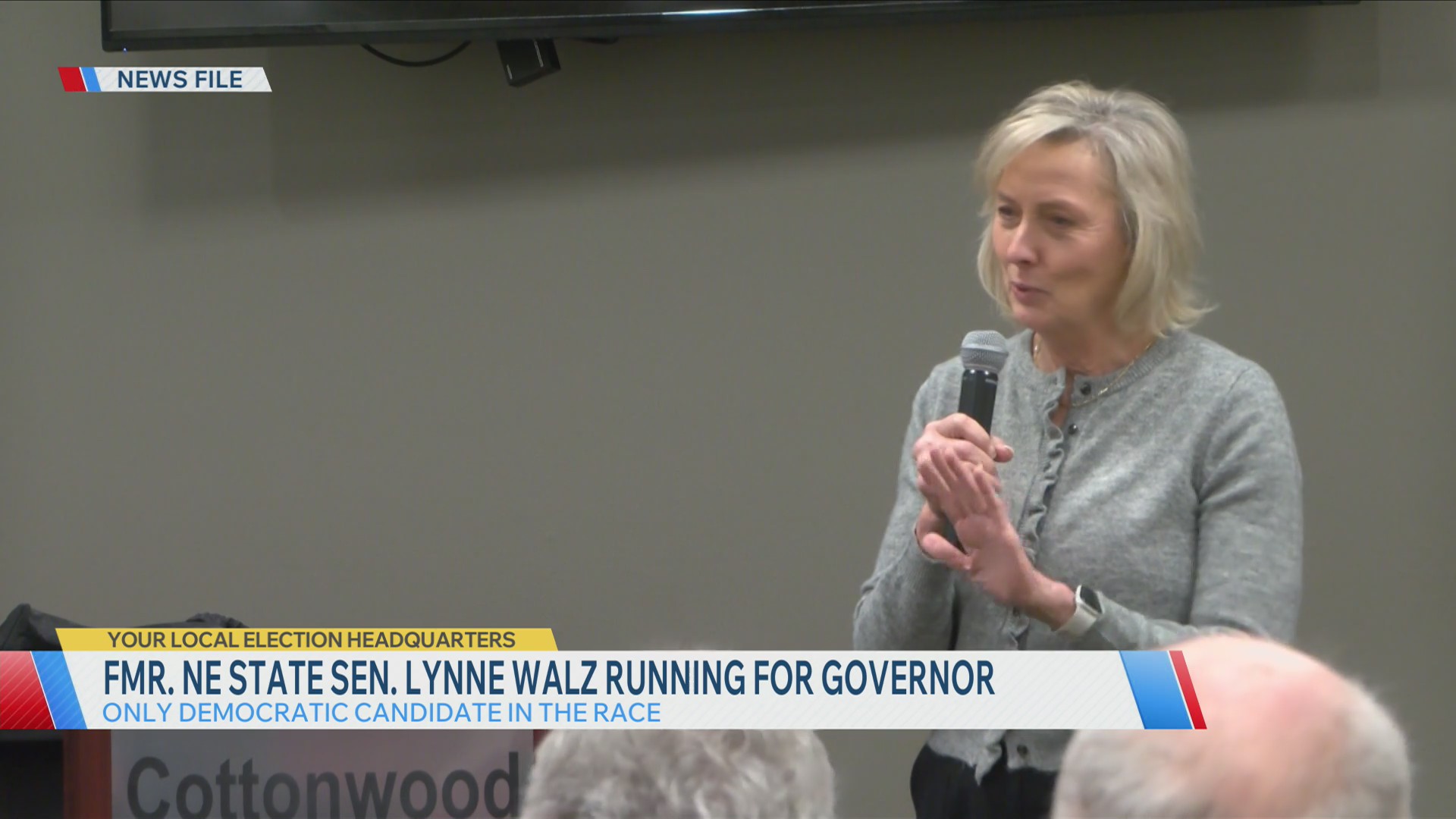 Former Nebraska State Senator Lynne Walz running for Governor – KCAU 9 ...
