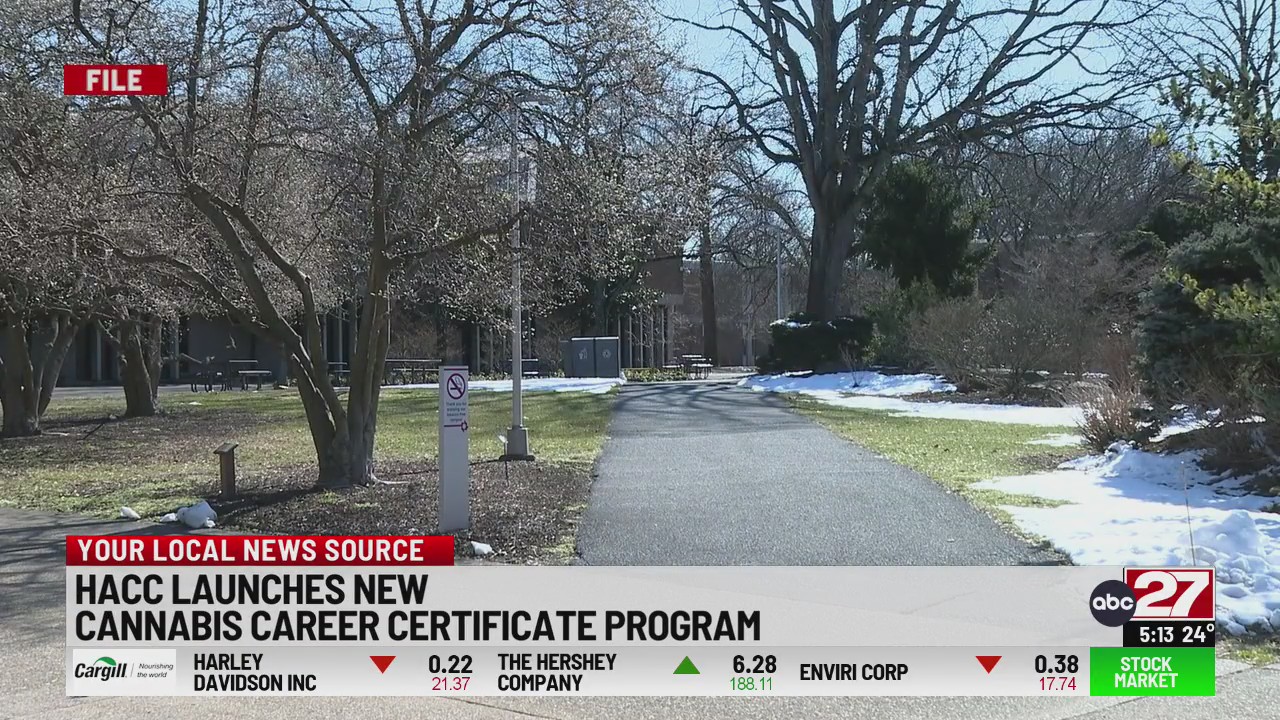 HACC launching “cannabis career” programs – ABC27
