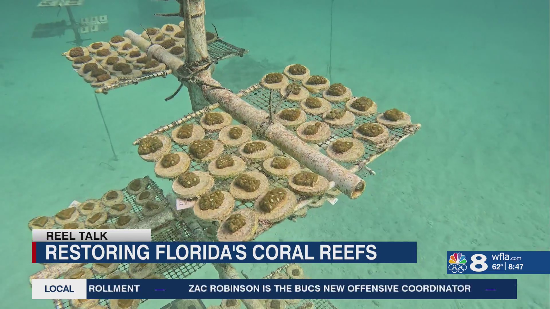 Reel Talk: Reef Renewal, USA working to restore Florida’s coral reefs ...