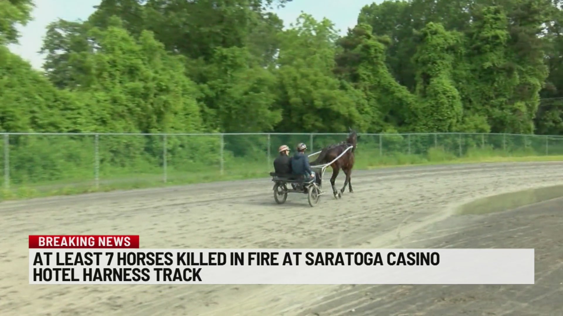 7 horses killed in fire at Saratoga Springs harness racetrack – WANE 15
