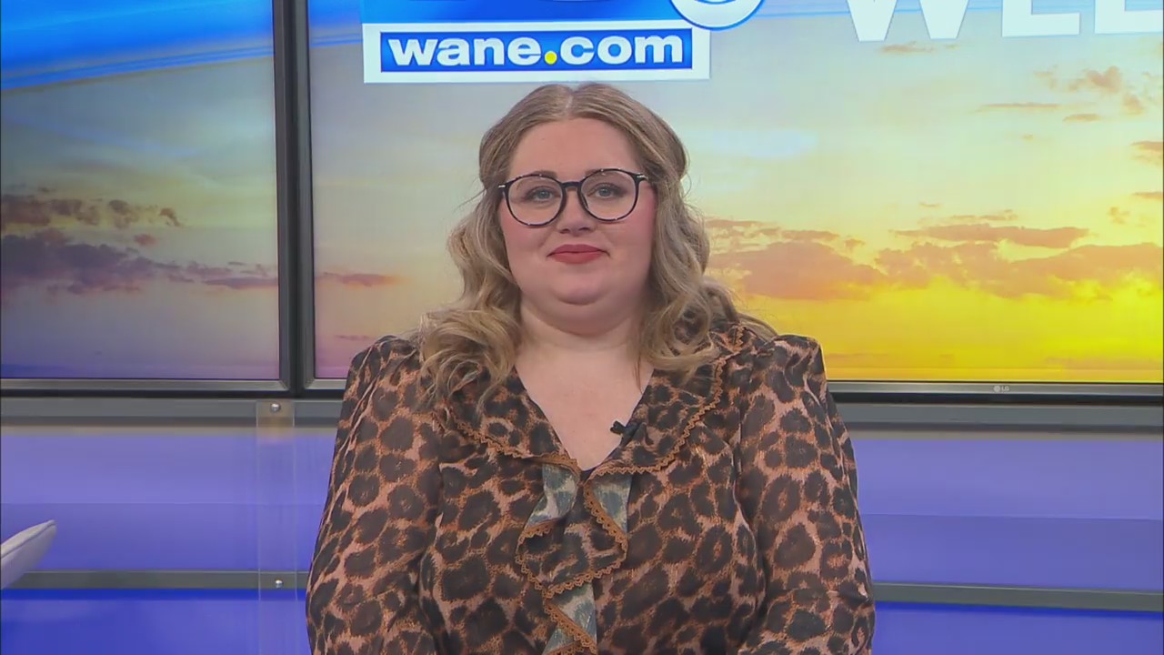 Bridal Spectacular – WANE 15