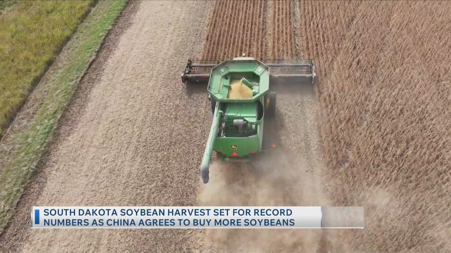 South Dakota Soybean Harvest Set For Record Numbers As China Agrees To ...