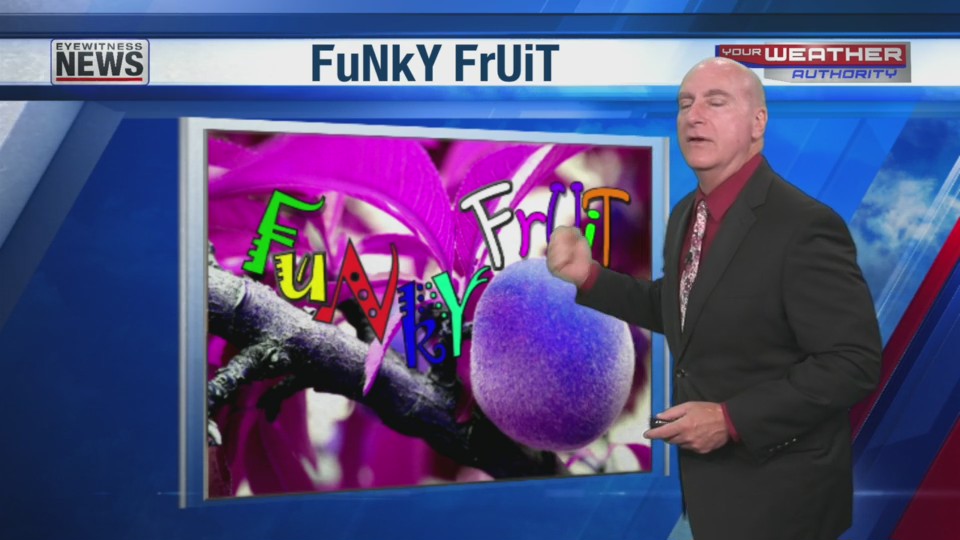 FuNkY FrUiT Pinocchio Mater – Eyewitness News (WEHT/WTVW)