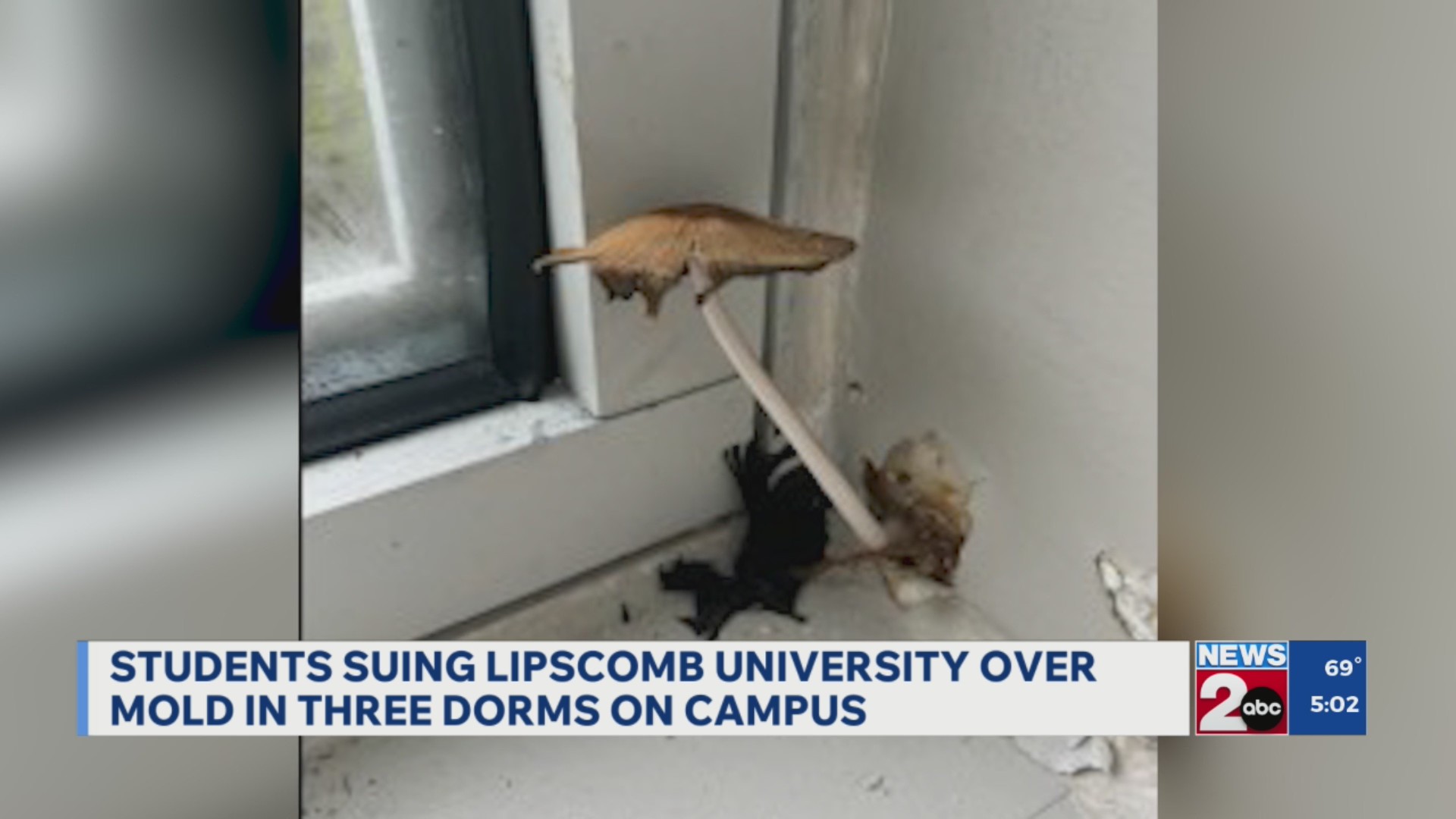 Students suing Lipscomb University over mold in dorms – WKRN News 2