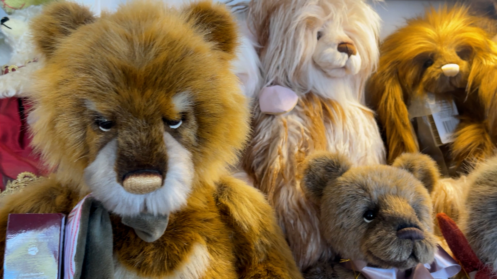 Teddy bear paradise in downtown Glendale – CW7 Arizona