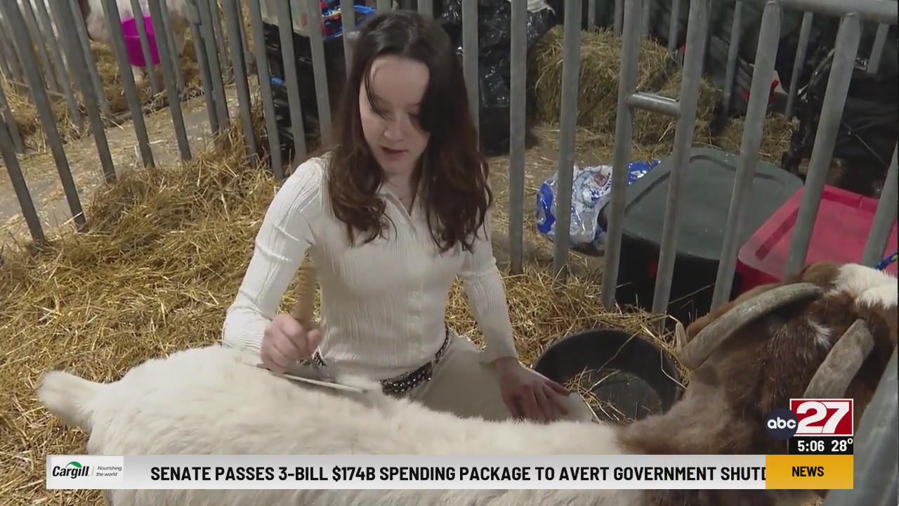 Meet the kids competing at the Pennsylvania Farm Show – ABC27