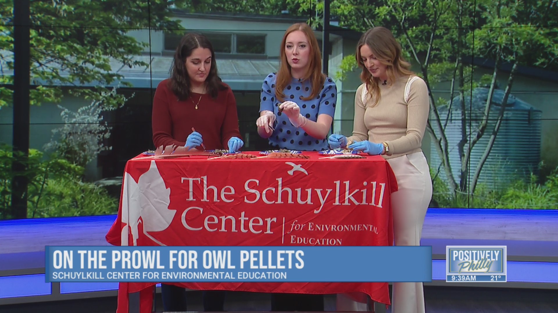 Positively Science Class (2/2) Positively Philly – PHL17.com