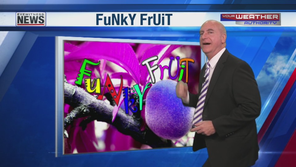 FuNkY FrUiT Carrot Legs – Eyewitness News (WEHT/WTVW)