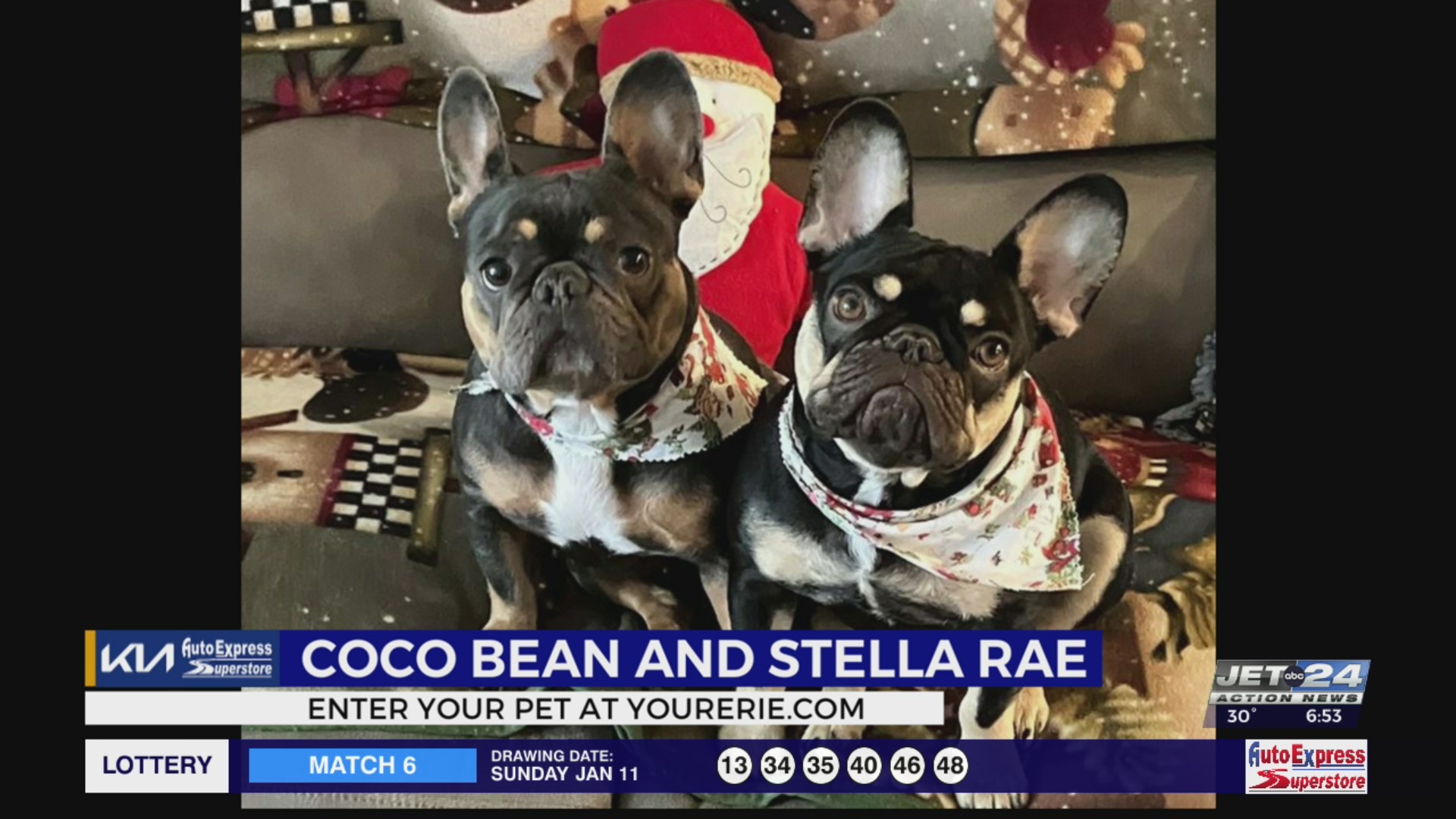 Cutest Pet: Coco Bean and Stella Rae – WJET/WFXP/YourErie.com