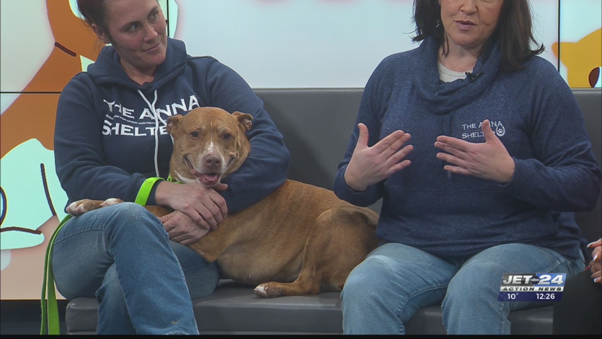 Tuesday Tails: Sheila – WJET/WFXP/YourErie.com