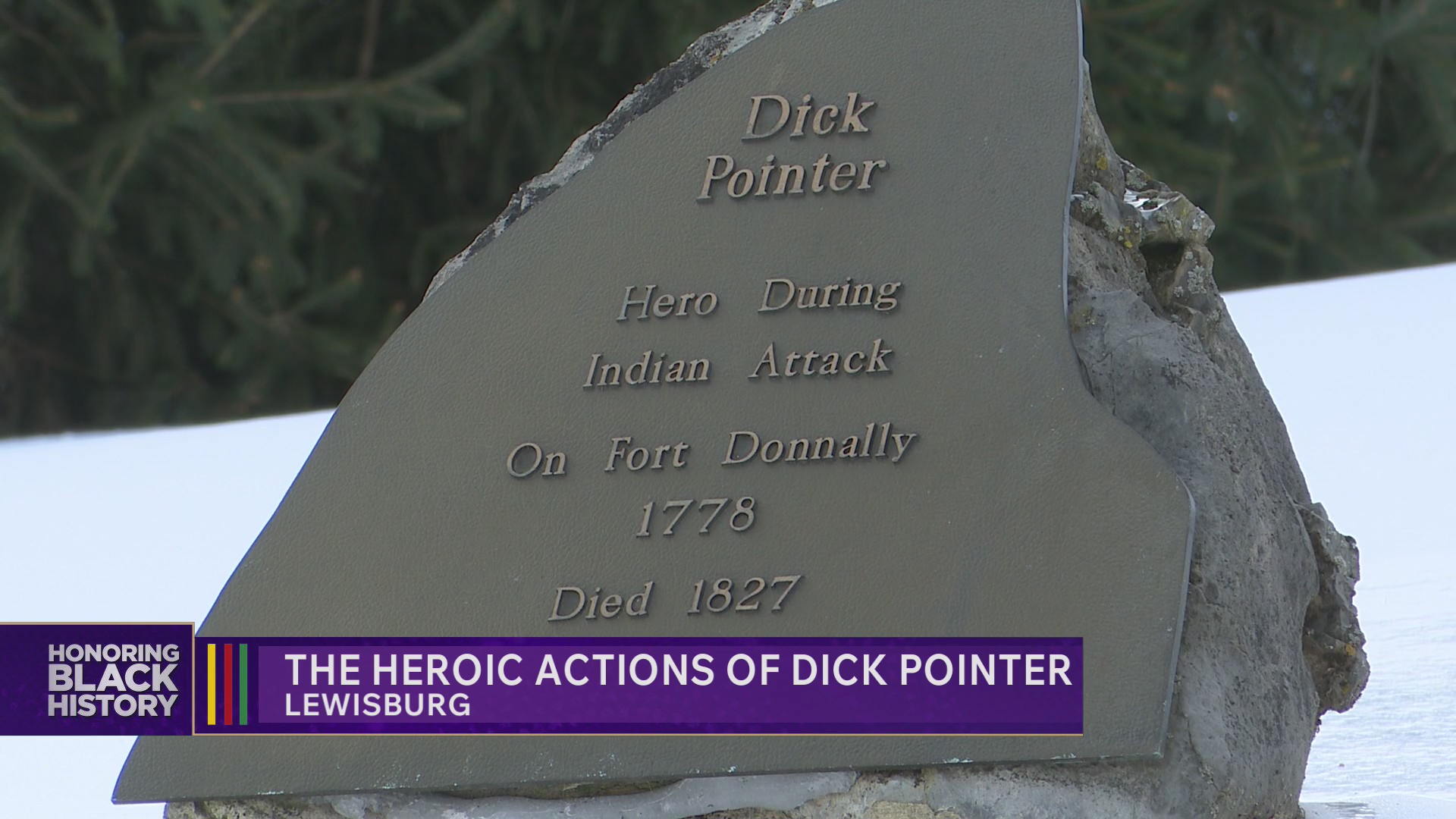 Dick Pointer – from enslaved African American to local hero of ...