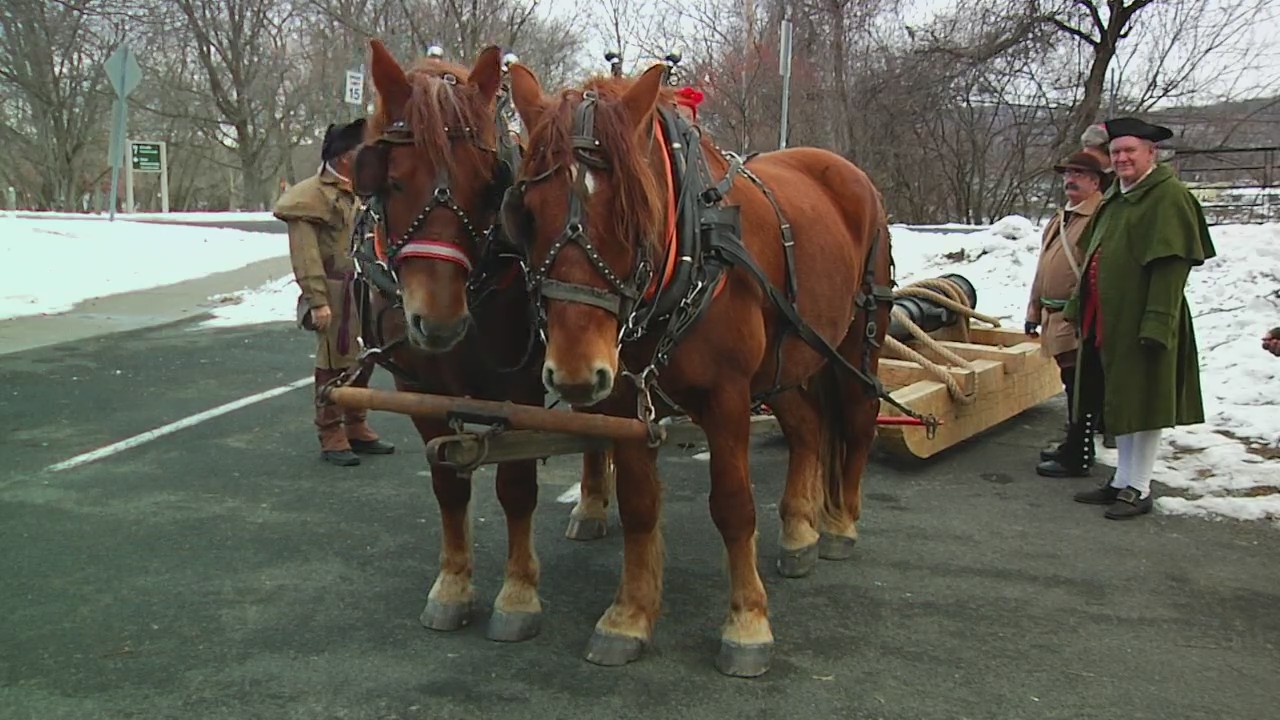 Henry Knox’s Noble Train of Artillery 250th anniversary – NEWS10 ABC