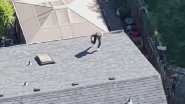 Portland area burglary suspect arrested after running across roof ...