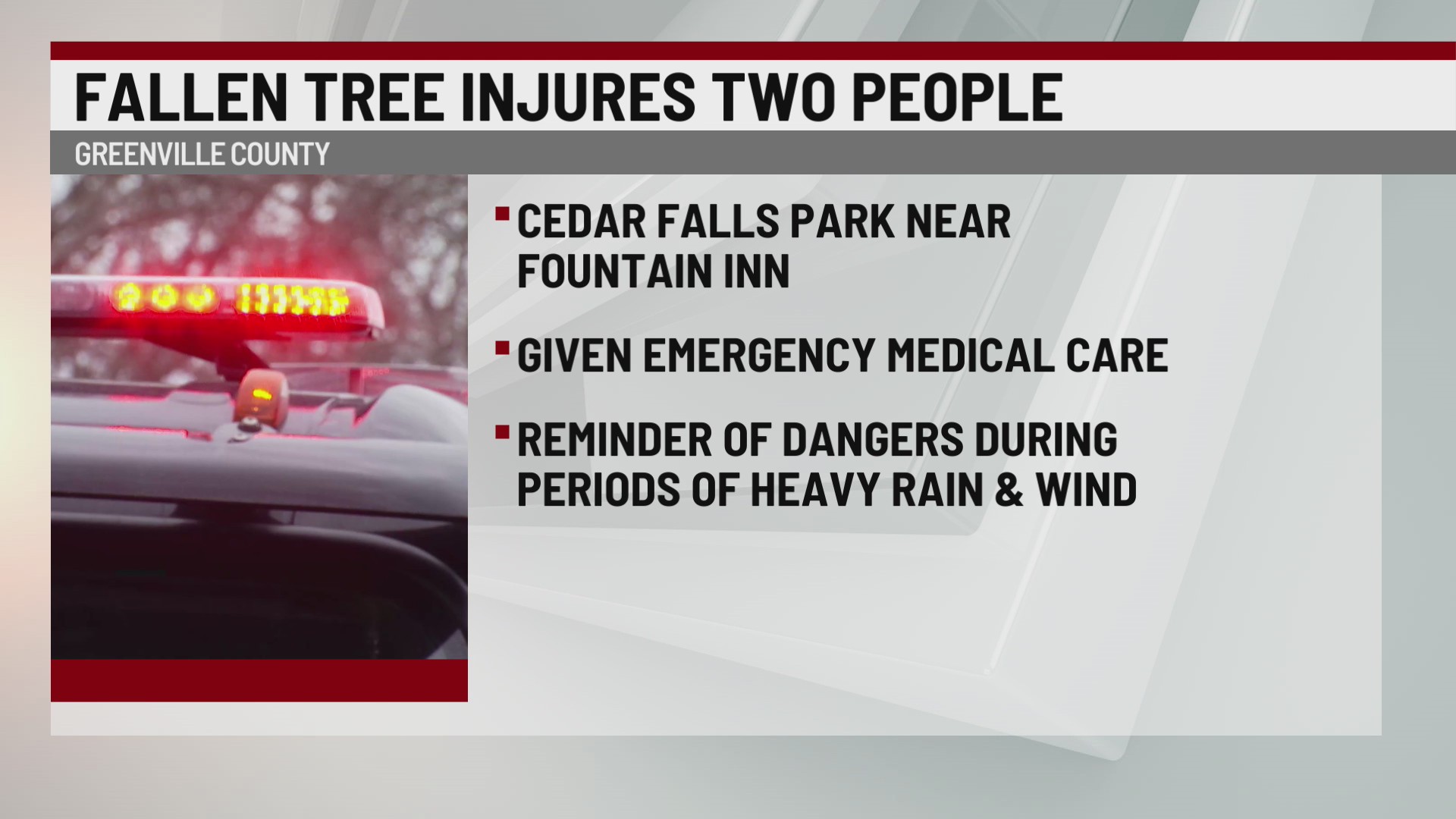 Falling tree injures 2 at Upstate park – WSPA 7NEWS