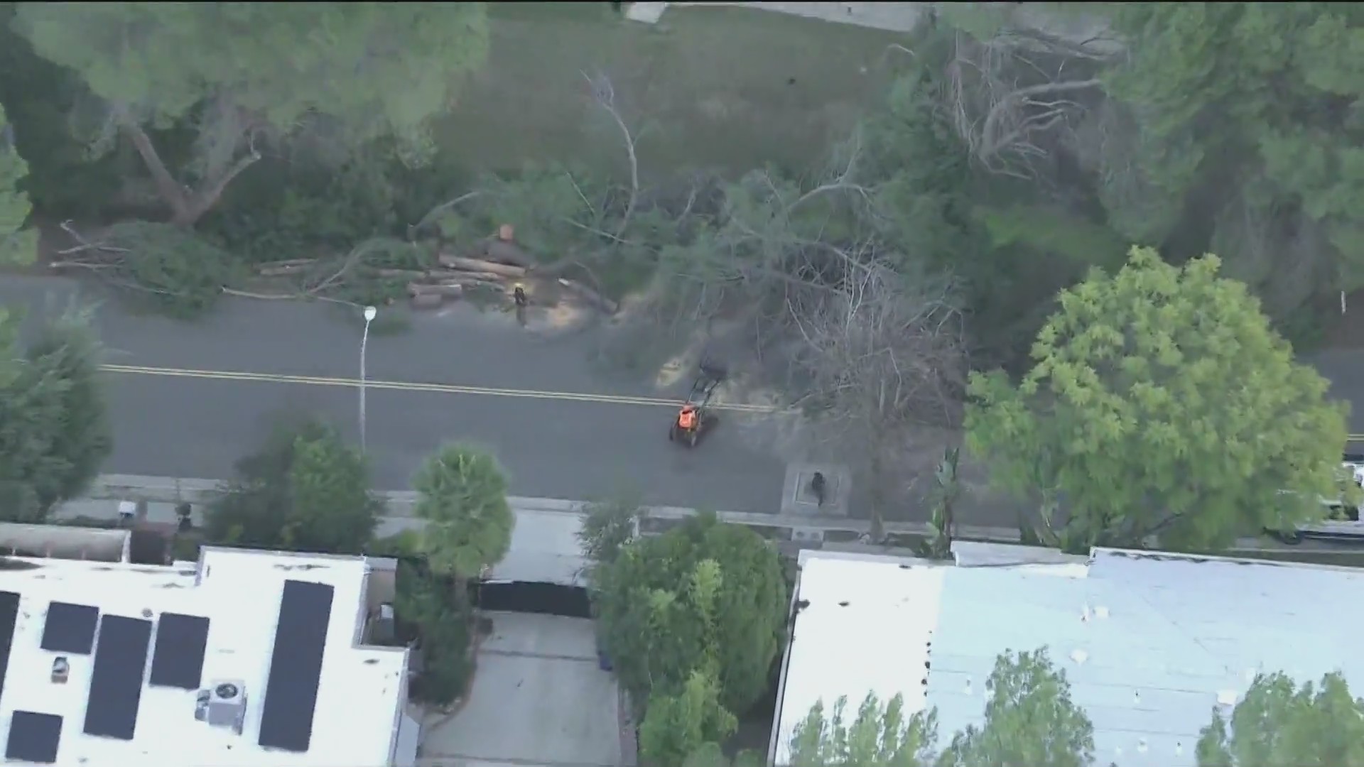 Winds topple trees ahead of next round of rain | Monday 10 p.m. team ...