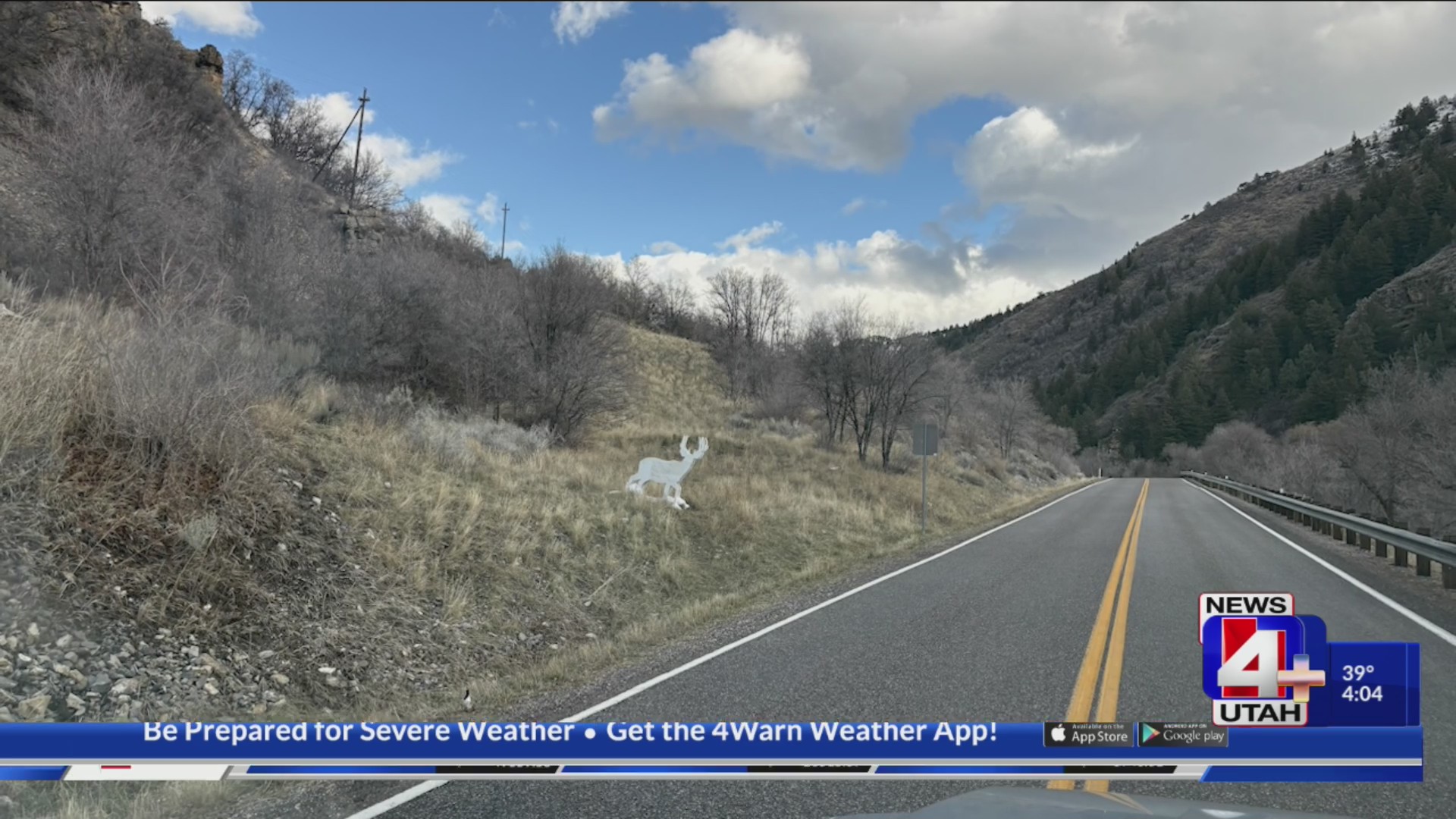 Utah DWR places deer cutouts at wildlife collision hotspots – ABC4 Utah