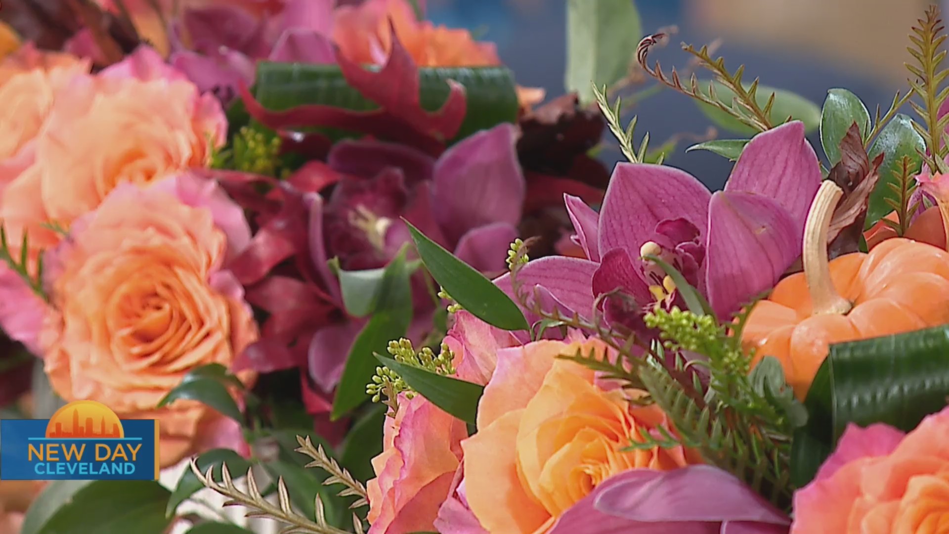 New Day Cleveland: Flowers Cleveland – Fox 8 Cleveland WJW