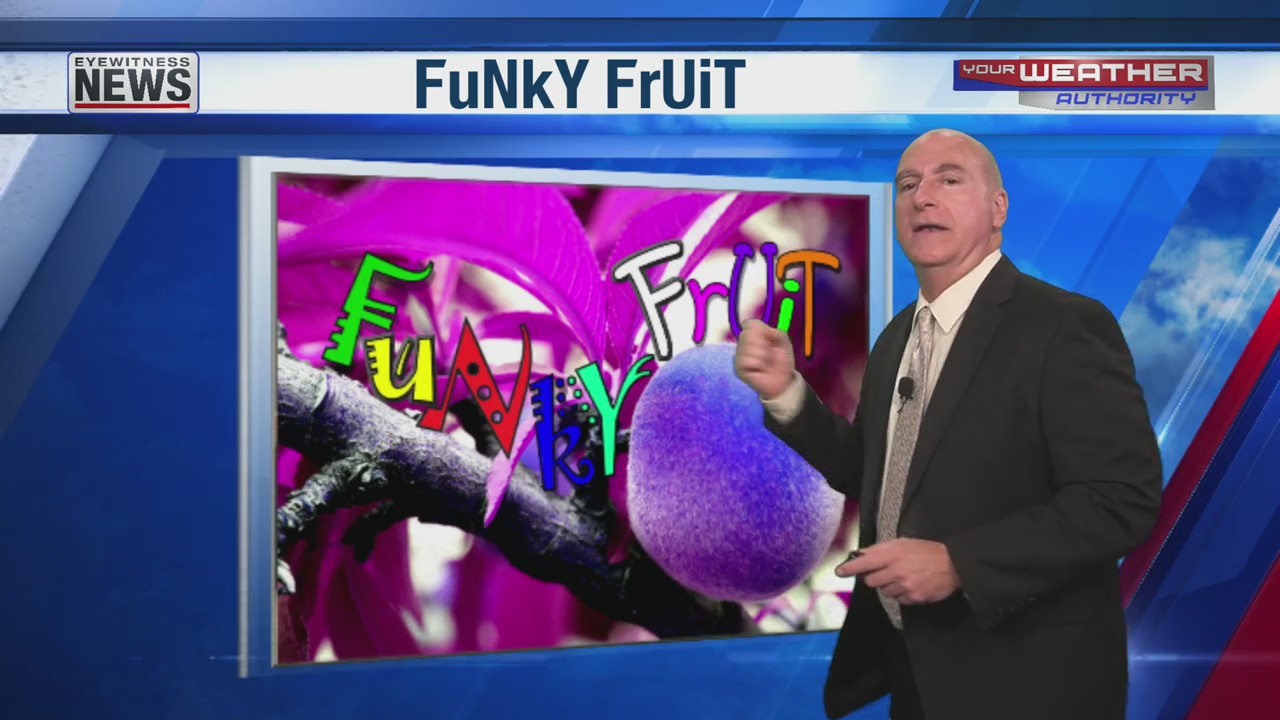 Ron’s Breezy & Colder Weekend – Eyewitness News (WEHT/WTVW)