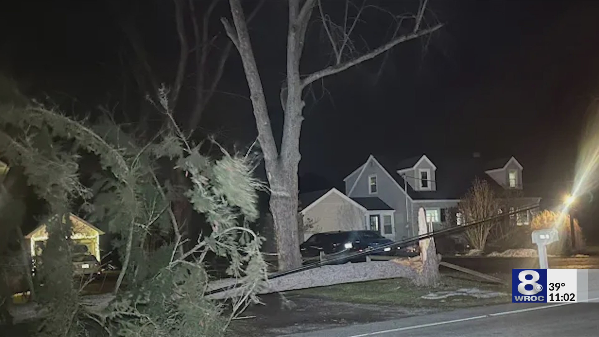GALLERY: High winds knock down trees, power lines around Rochester ...
