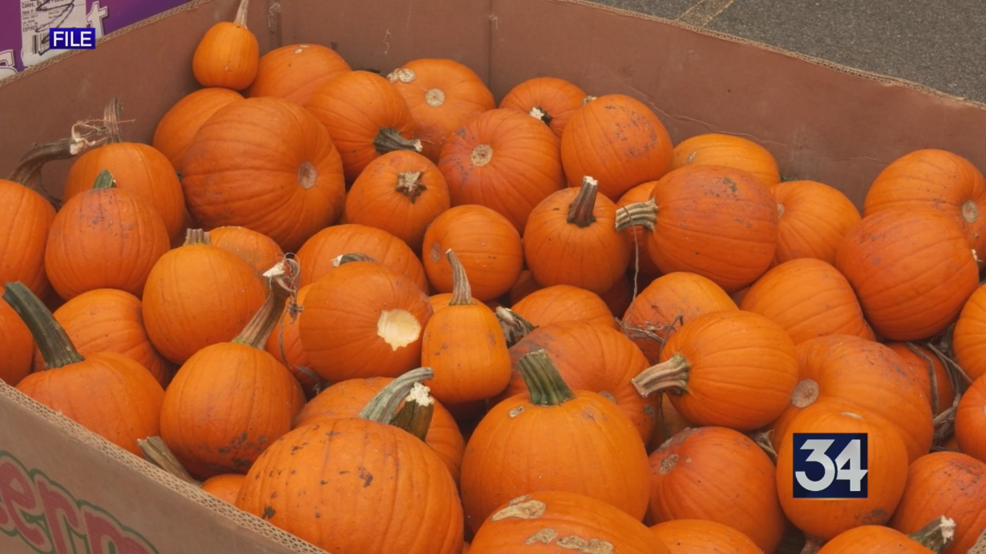 Broome County Food Council presents at Rotary – WIVT – News 34