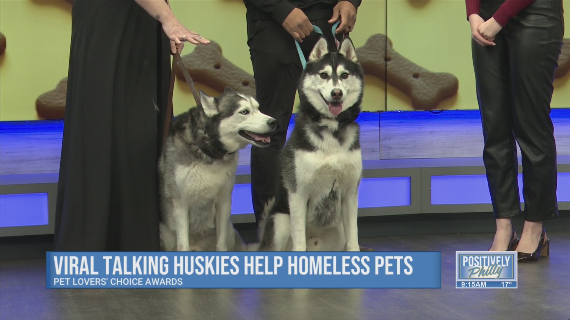 Social Media Stars “Moon” and “Shadow” Support Pets in Need ...