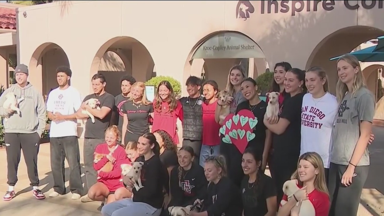 SDSU Student-Athletes visit Humane Society – FOX 5 San Diego & KUSI News