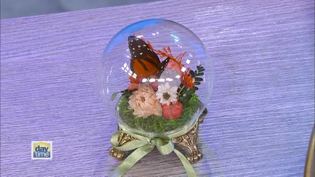 Monarch manor oddities | Daytime – WFLA