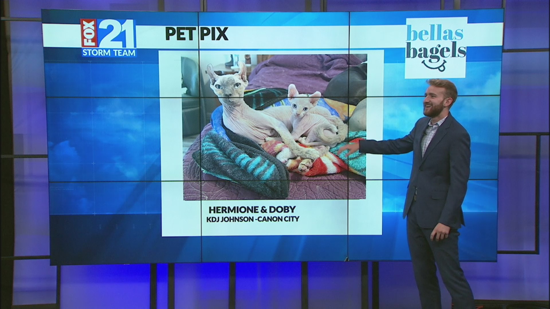 PET PIX 6-23-26 – FOX21 News Colorado